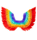 Vleugels regenboog | Kleurrijke vleugels voor carnaval